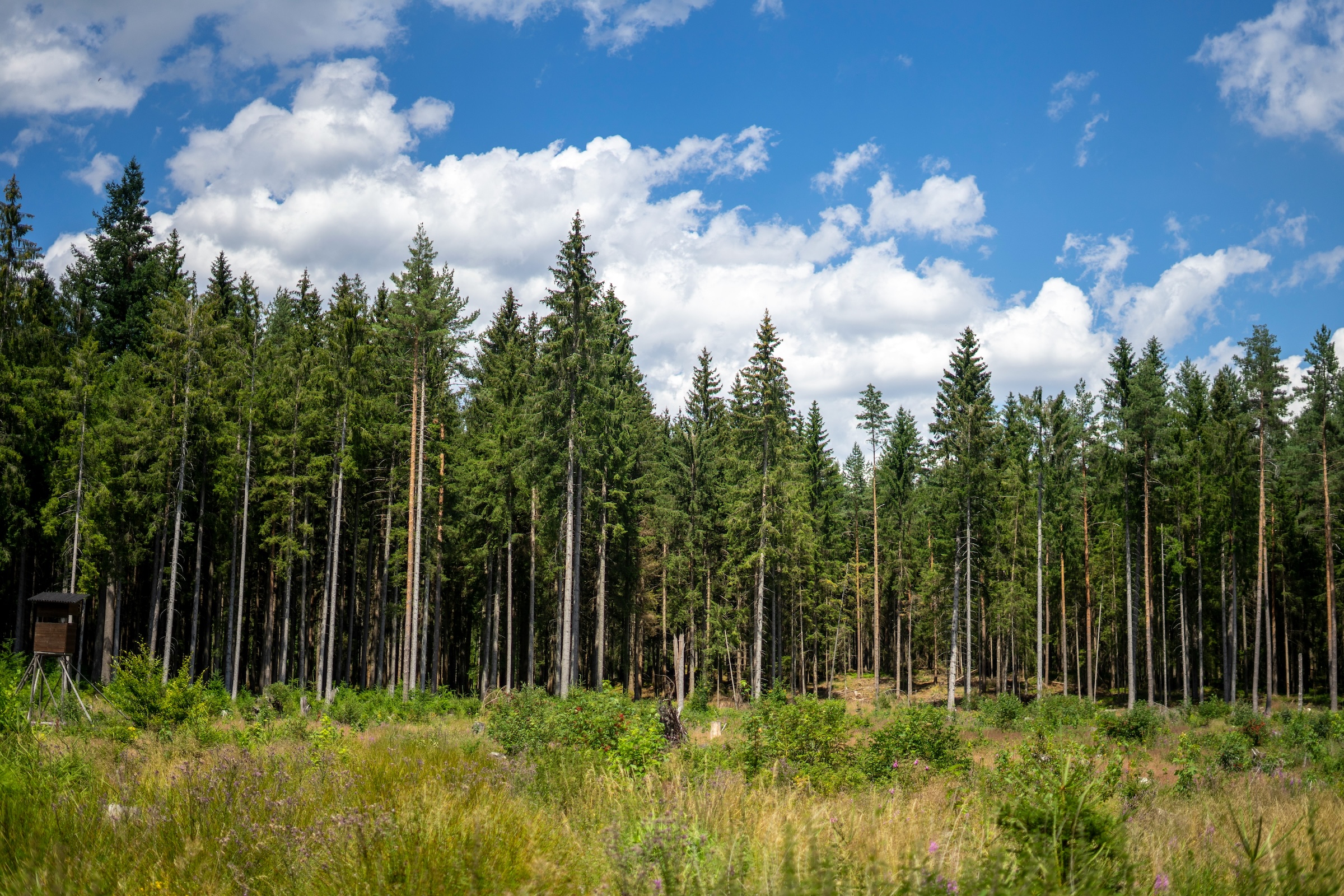 Land Acknowledgement - Timiskaming OHT